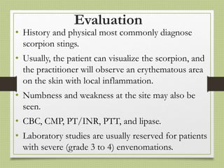 Scorpion Poisoning - Rivin | PPTX