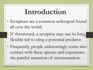 Scorpion Poisoning - Rivin | PPTX
