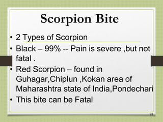 Scorpion Poisoning - Rivin | PPTX