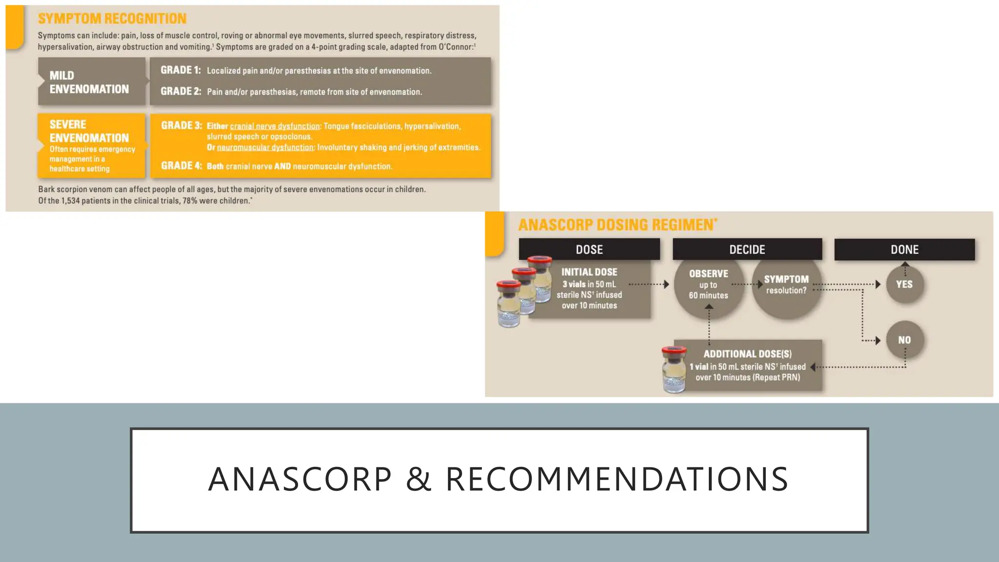 Scorpions and the Pharmacology behind Scorpion Bites | PPTX