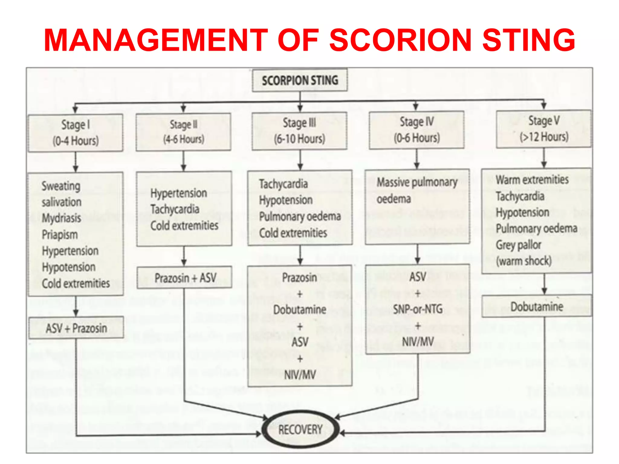 SCORPION STING .pptx