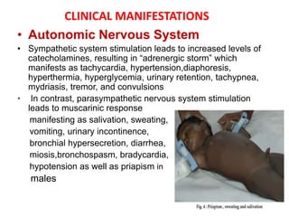SCORPION STING .pptx