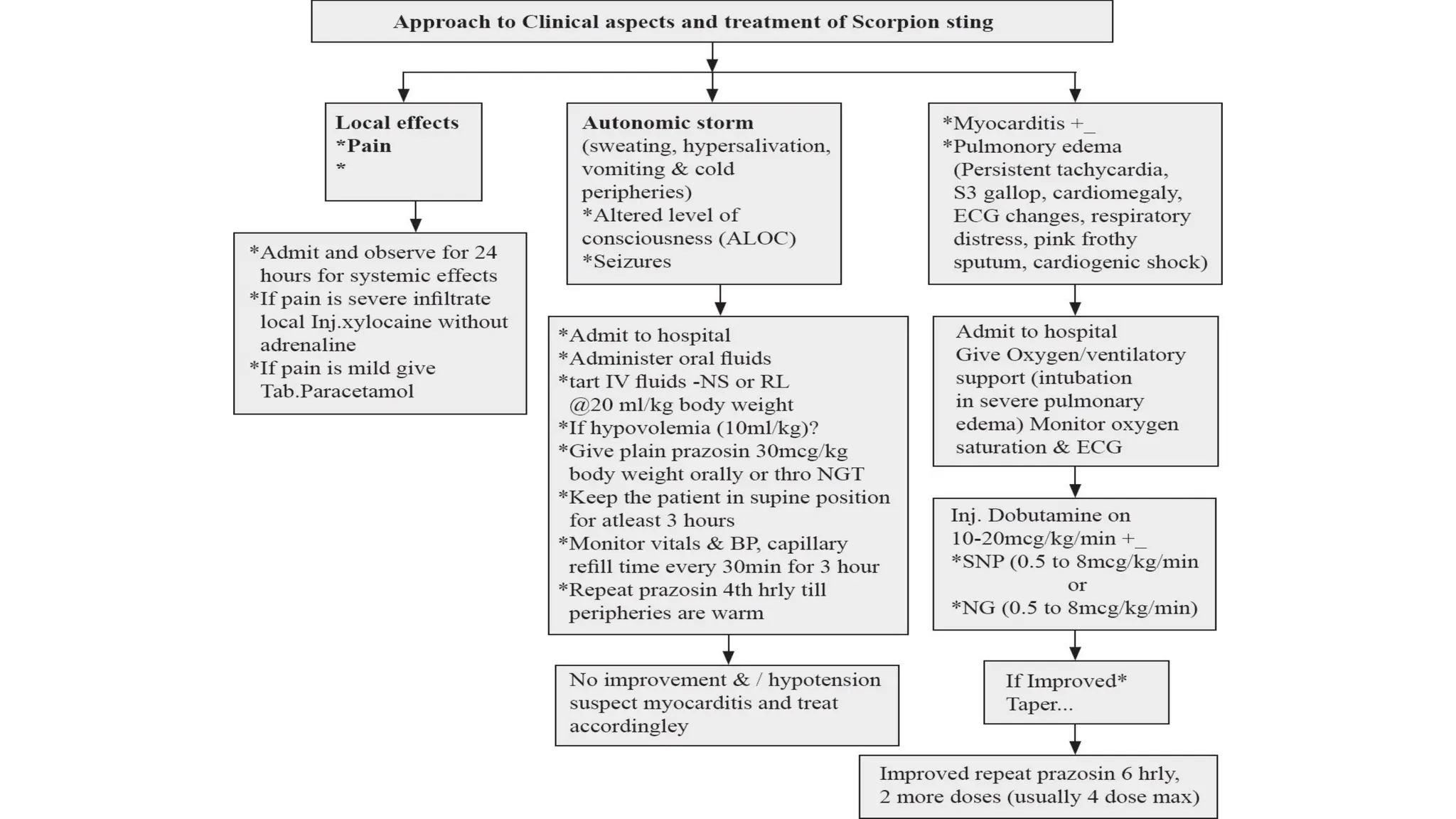 Scorpion Sting management in pediatrics ICU | PPTX