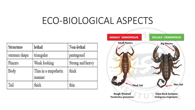 Scorpion Sting management in pediatrics ICU | PPTX