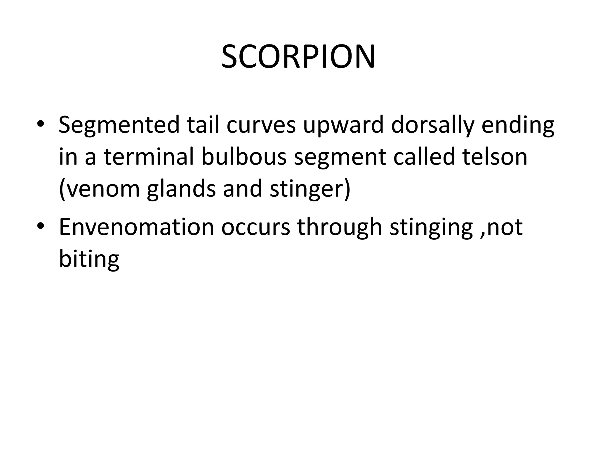 Scorpion sting | PPTX