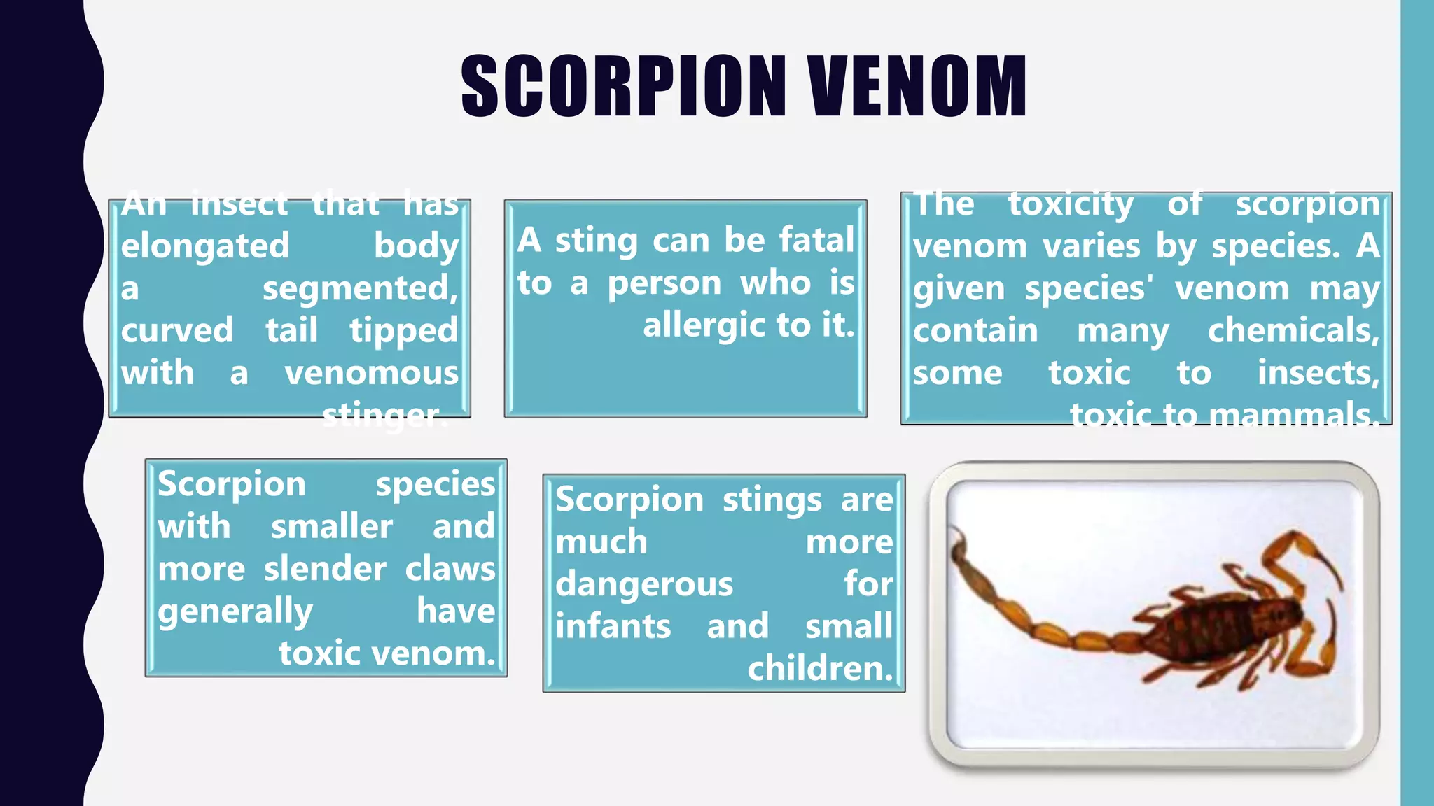 Scorpion venom | PPTX