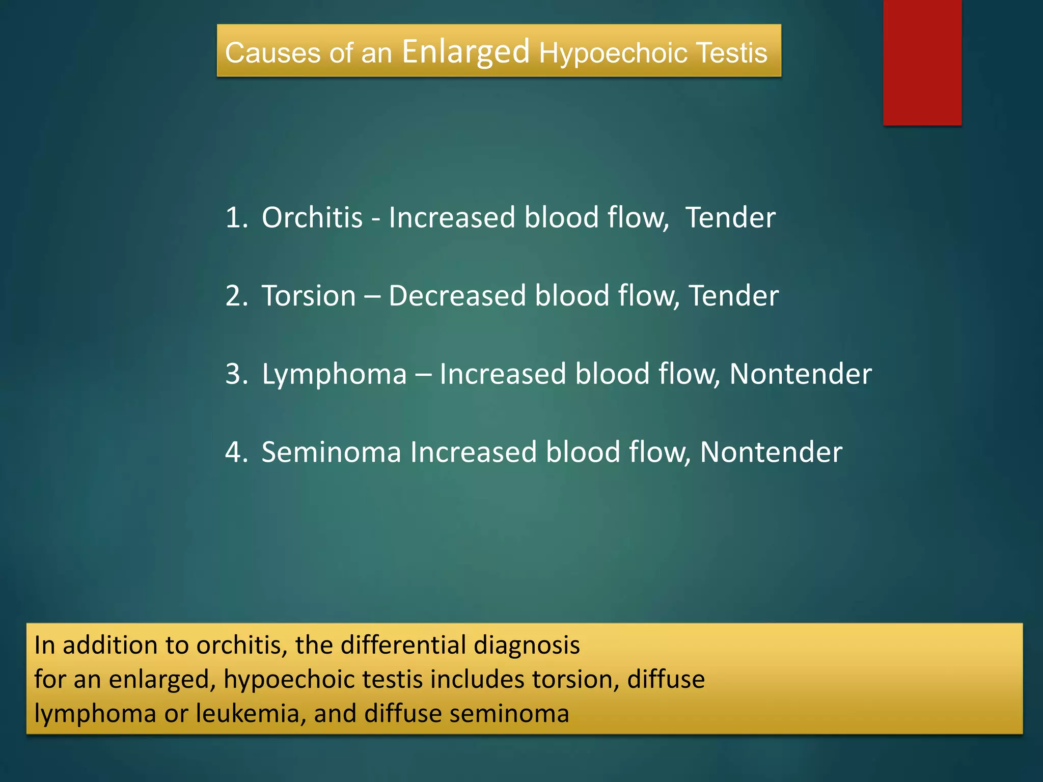 Scortal Ultrasound | PPTX