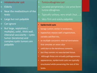 Scortal Ultrasound | PPTX