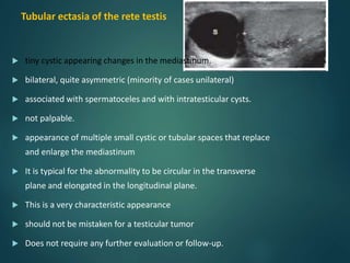 Scortal Ultrasound | PPTX