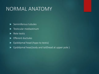 Scortal Ultrasound | PPTX