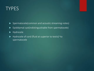 Scortal Ultrasound | PPTX