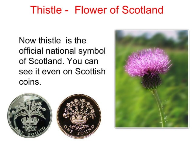 Scotland | PPT