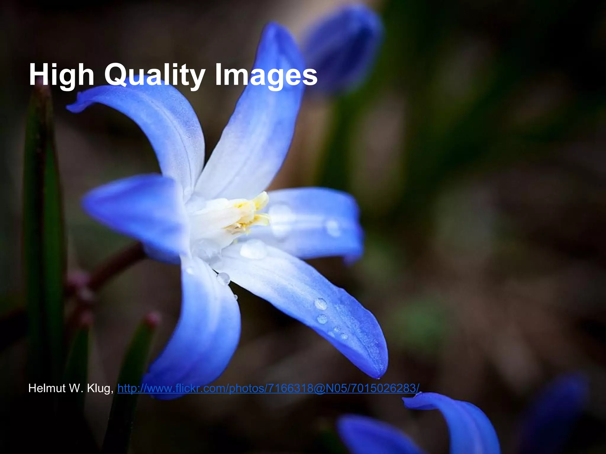 Scott And power point tips | PPT