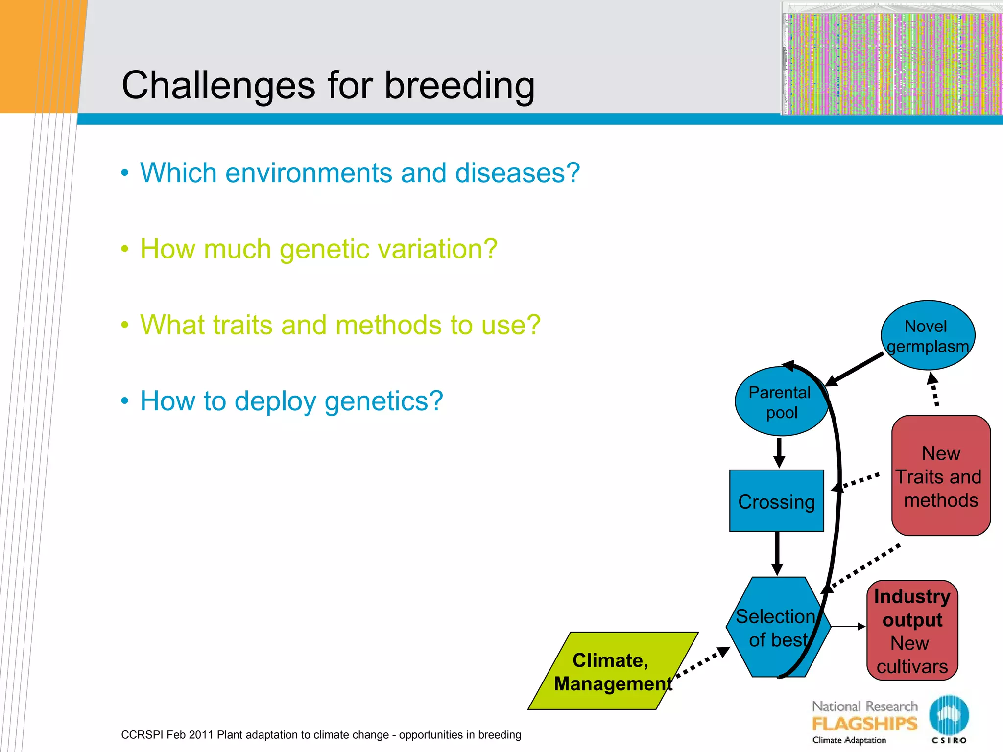 Plant adaptation to climate change - Scott Chapman | PPT