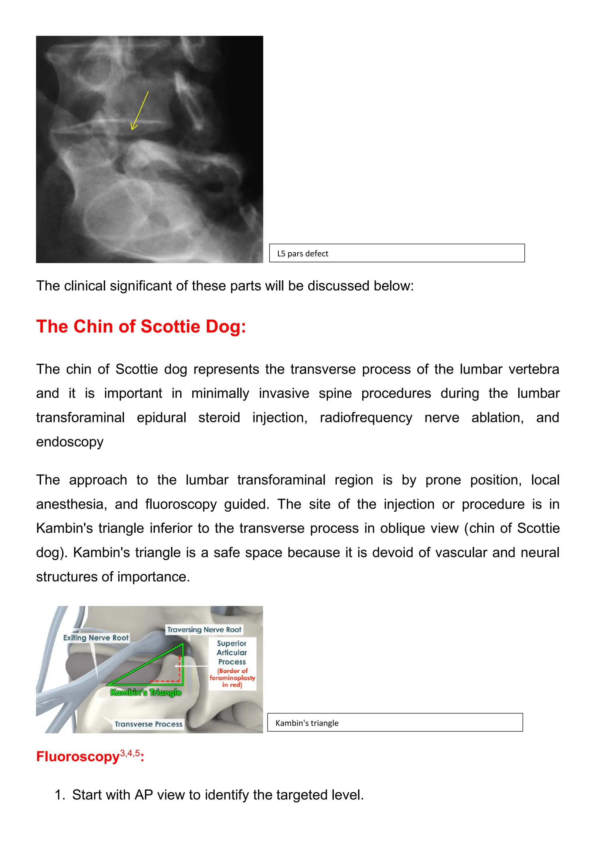 Scottie Dog Sign.pdf
