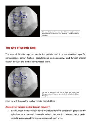 Scottie Dog Sign.pdf