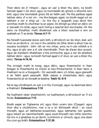 Scottish Gaelic - Management Principles from the Bible.pdf