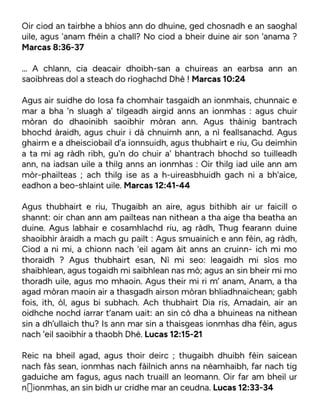 Scottish Gaelic - Management Principles from the Bible.pdf