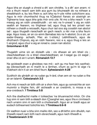 Scottish Gaelic - Management Principles from the Bible.pdf