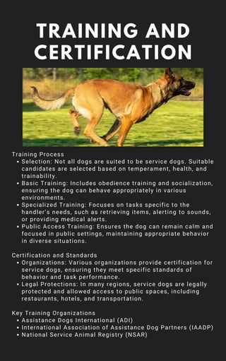 The Role of Service Dogs in Modern Society | PDF