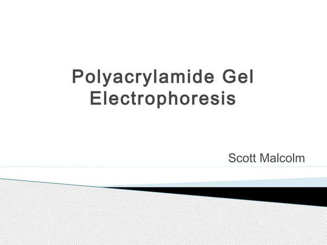 Scott Malcolm | What is the Process of Polyacrylamide Gel ...
