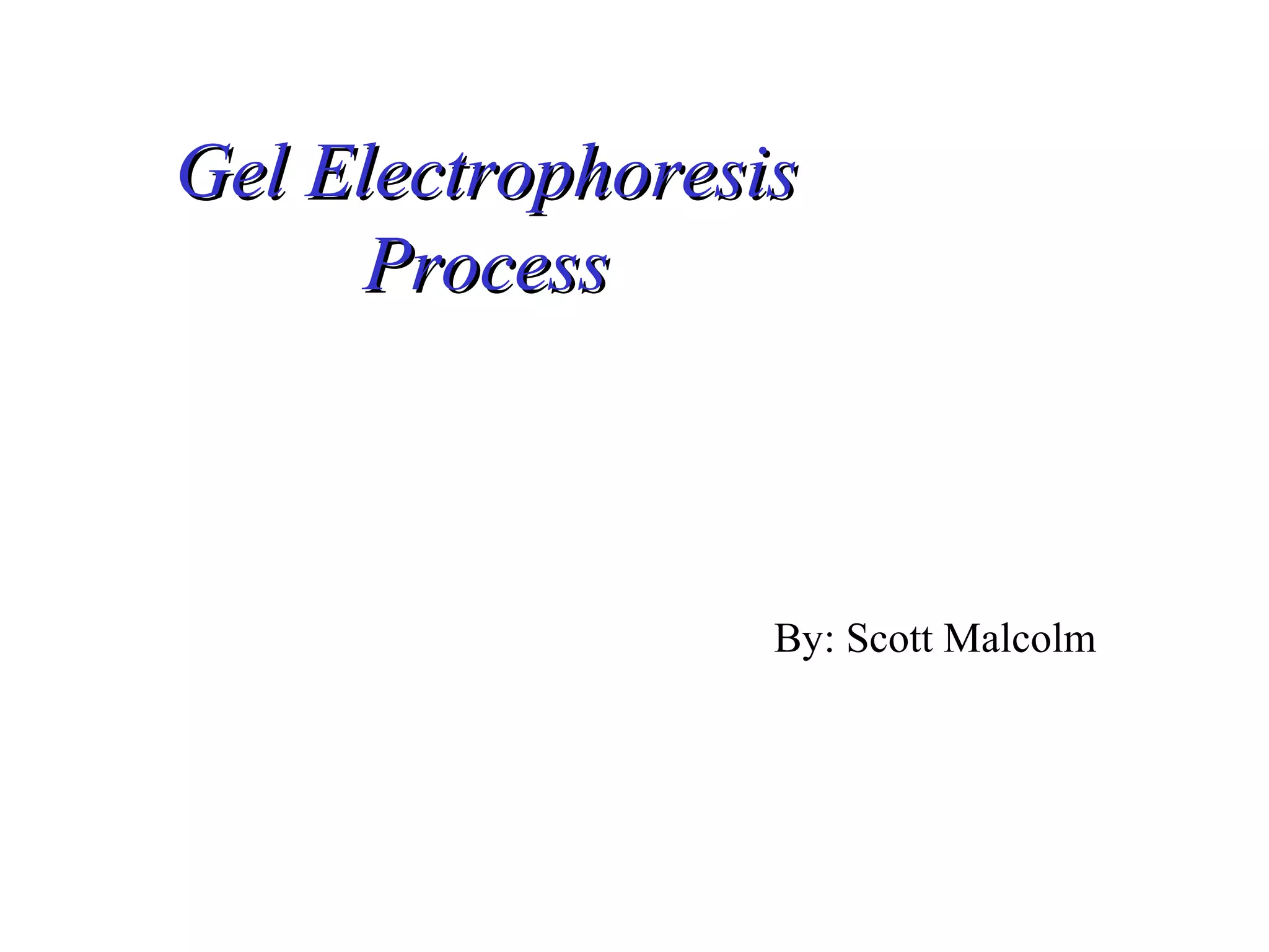 Scott malcolm | A Guide of Gel Electrophoresis Process with all Steps | PPT