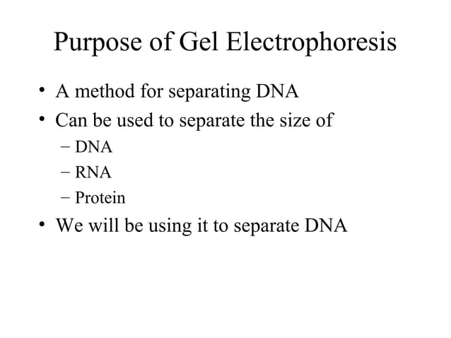 Scott malcolm | A Guide of Gel Electrophoresis Process with all Steps | PPT