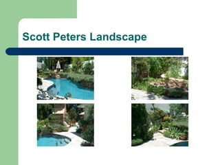Scott Peters Landscape Powerpoint | PPT