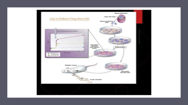 Scott, Ron Insulin Interventions.pptx