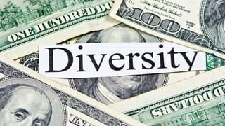Investment Diversity - Crowdfunding is more than just startups | PPT
