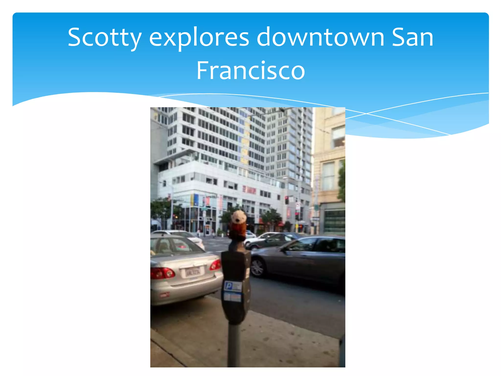 Scotty the Otter and his Adventure to You | PPTX | Travel