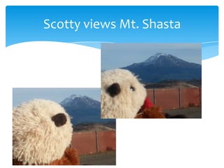 Scotty the Otter and his Adventure to You | PPTX | Travel