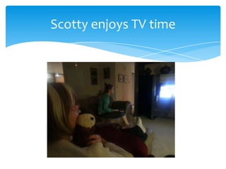 Scotty the Otter and his Adventure to You | PPTX | Travel