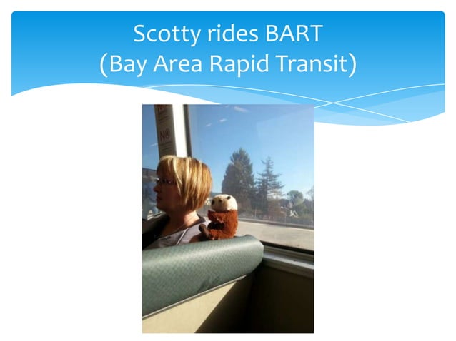 Scotty the Otter and his Adventure to You | PPTX | Travel