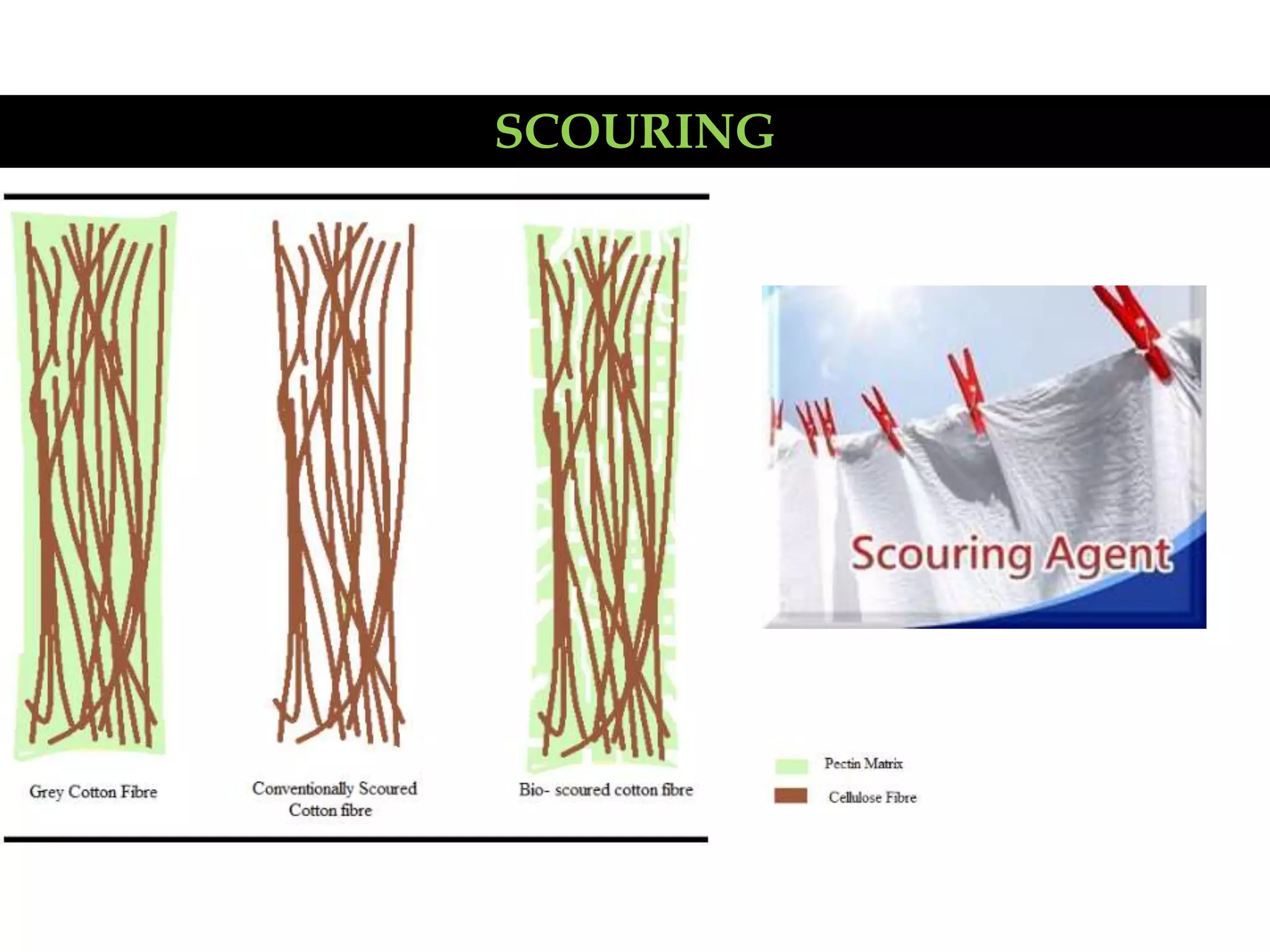 Scouring | PPTX