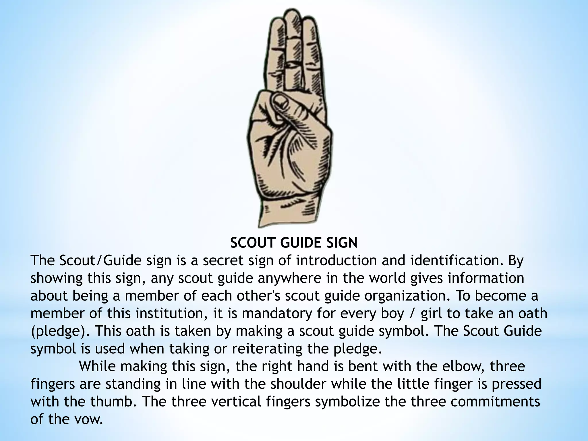 SCOUT.pptx
