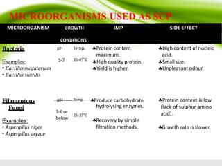 Scp 180831094934 | PPTX | Vegetarian Diets | Food & Drink