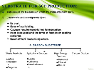 Scp 180831094934 | PPTX | Vegetarian Diets | Food & Drink