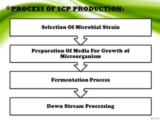 Single Cell Protein | PPT | Vegetarian Diets | Food & Drink