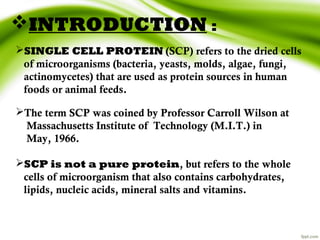 Single Cell Protein | PPT | Vegetarian Diets | Food & Drink