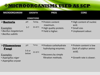 Single Cell Protein | PPT | Vegetarian Diets | Food & Drink