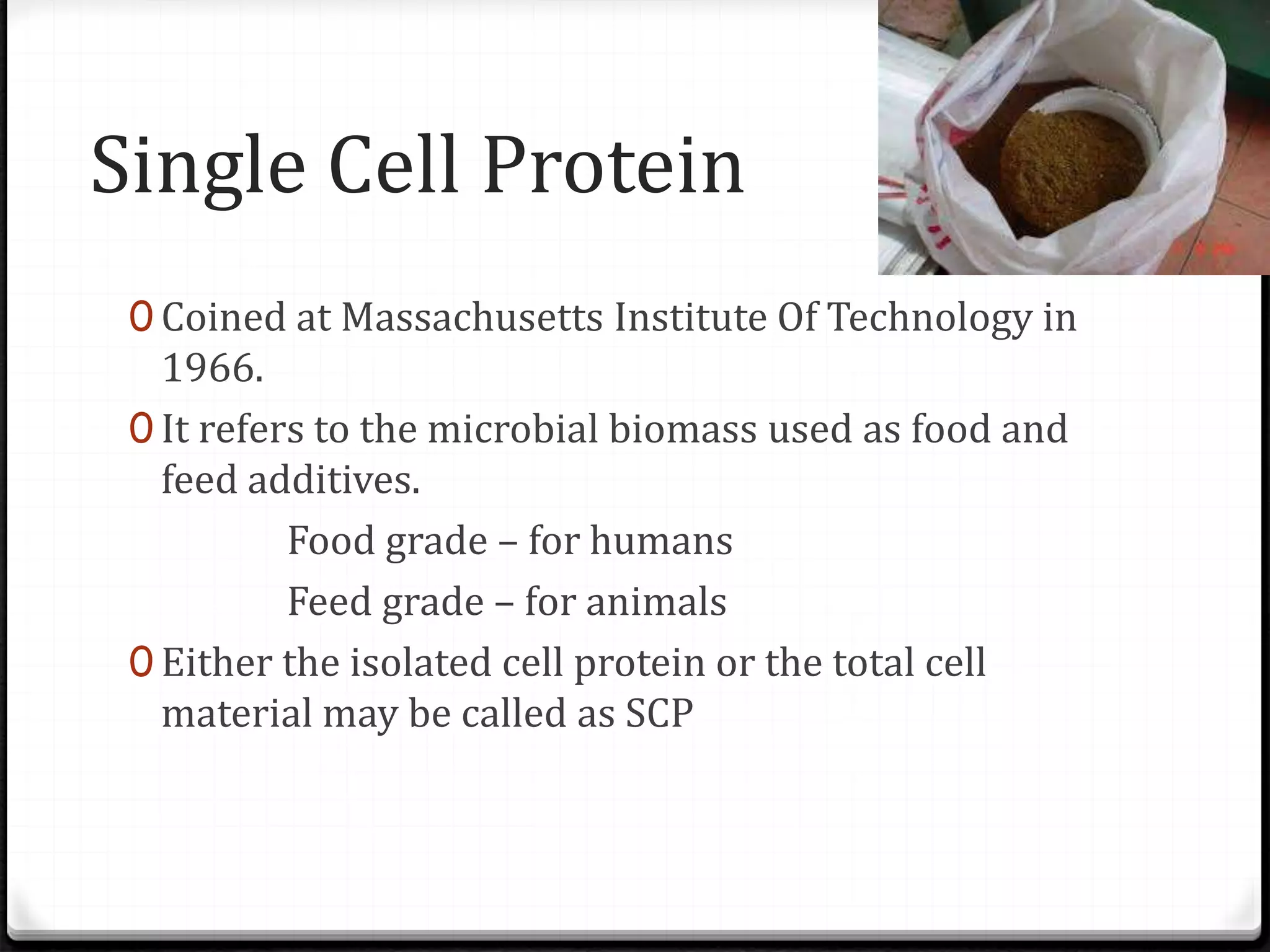 Single Cell Protein(SCP) | PPT