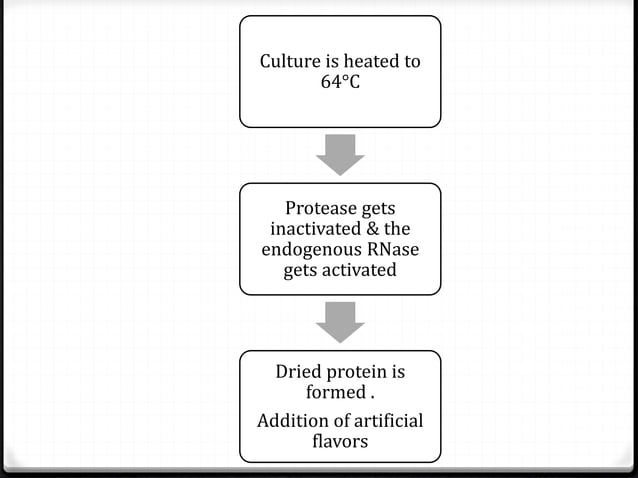 Single Cell Protein(SCP) | PPT