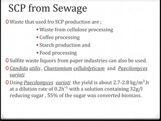 Single Cell Protein(SCP) | PPT