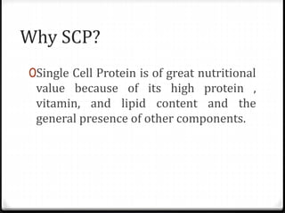Single Cell Protein(SCP) | PPT