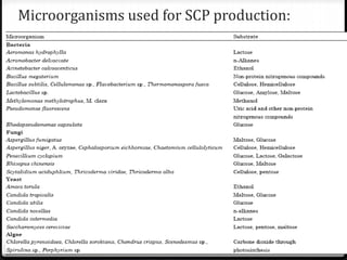 Single Cell Protein(SCP) | PPT