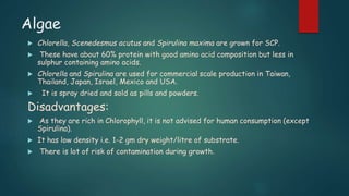 SCP.pptx | Vegetarian Diets | Food & Drink