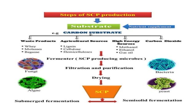 SCP.pptx | Chemistry | Science