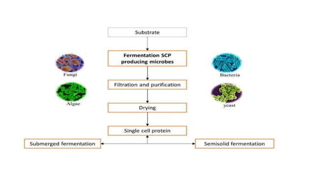 SCP.pptx | Chemistry | Science