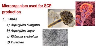 Single Cell Protein by Dr. Pooja Singh MSc., PhD Botany | PPTX